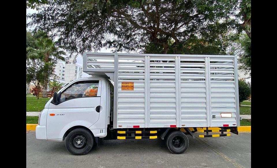 Hyundai H100 2022 | Buses Y Camiones Usados | NeoAuto